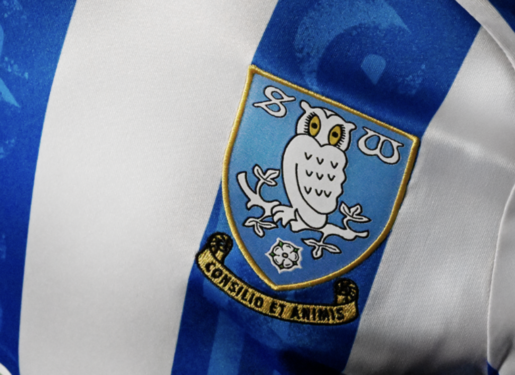 A closer look at Sheffield Wednesday's new home shirt - with and ...