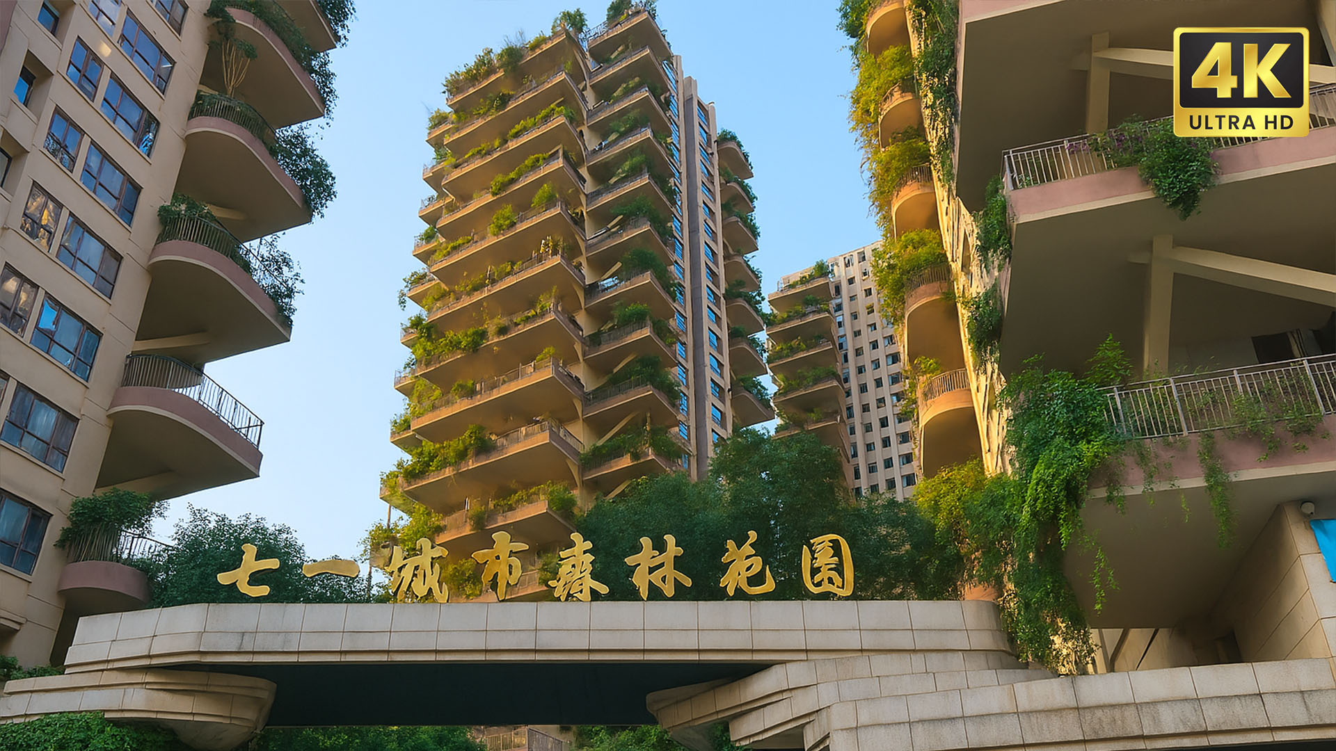 China’s First 4th-Generation Green Homes – Vertical Forest Apartments ...