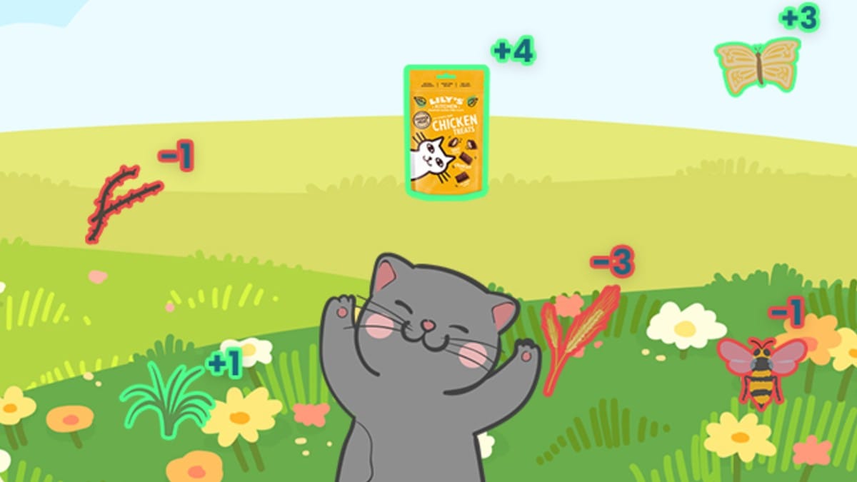 Play the Magical Garden Game to win Pick'N'Mix® Felix® cat food
