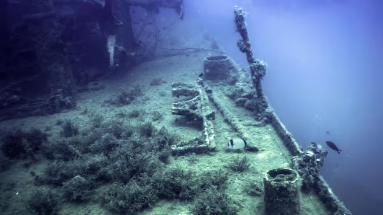 Deadly ocean pools kill everything that swims inside