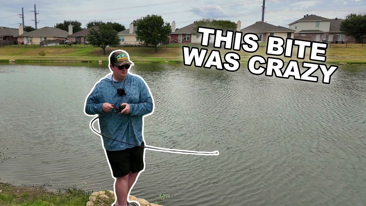 Bass Fishing for Pond Giants After a Big Cold Front!