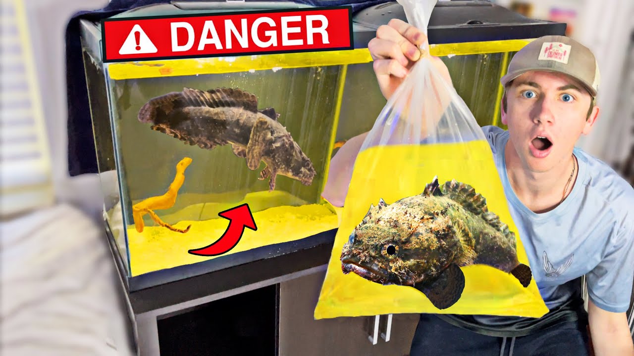 BUYING #CREEPY# VENOMOUS FISH ONLINE!
