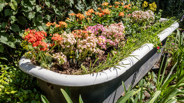 Why Your Old Bathtub Is The Perfect Container For A Raised-Bed ...