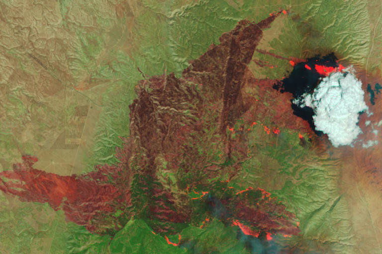 Satellite images show devastating reach of wildfire engulfing Arizona