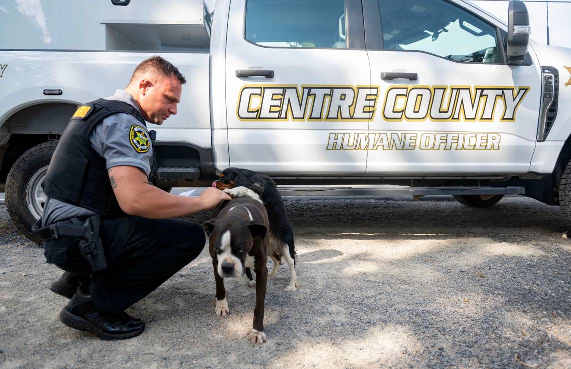How Centre County's first humane society officer is meeting ‘a big need ...