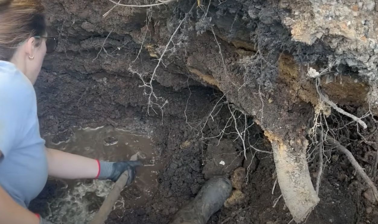 An amateur archaeologist sunk his shovel into a Birmingham, Alabama ...
