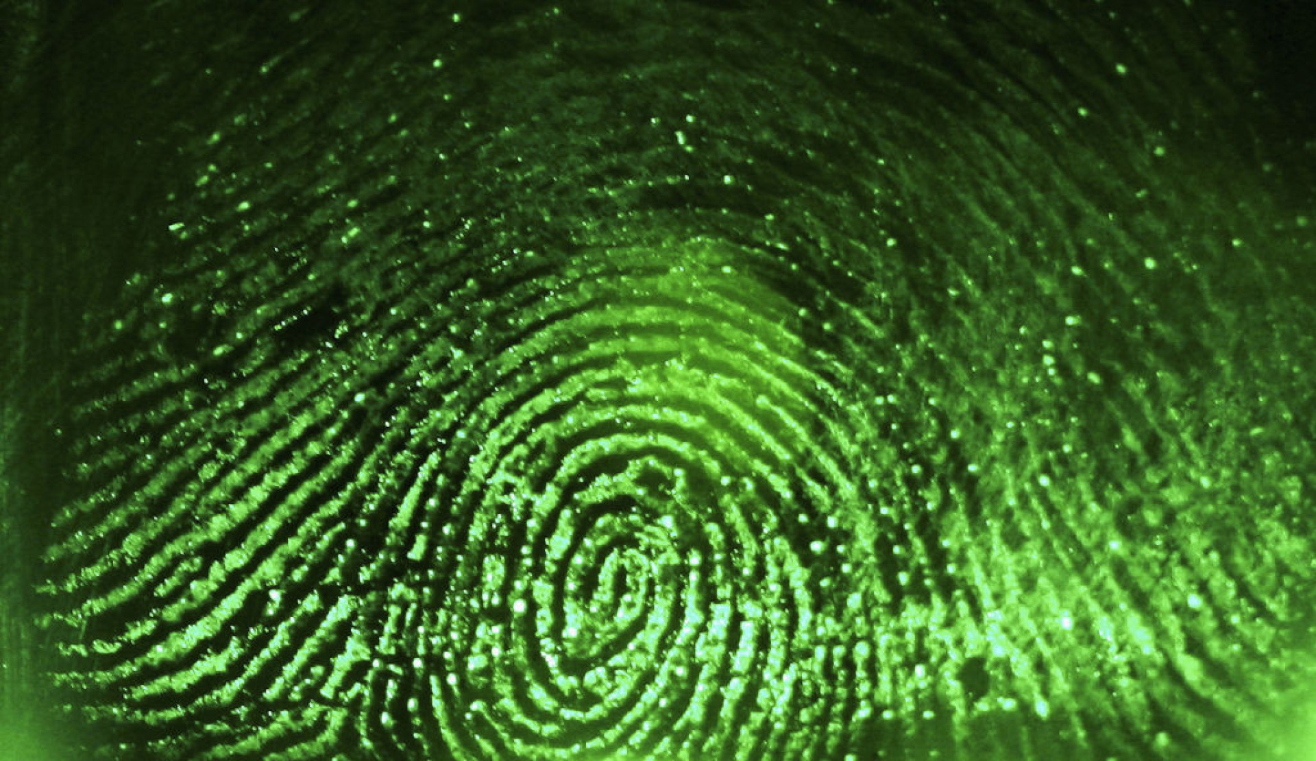 How to protect yourself against identity theft
