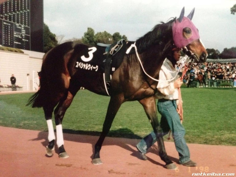 The Real-Life Inspirations Behind Umamusume's Horse Girls