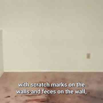 Footage Inside the Terrible Turpin House