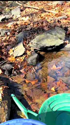 Unearthing Gold with the Thermoform Sluice Box by Prospector’s Dream