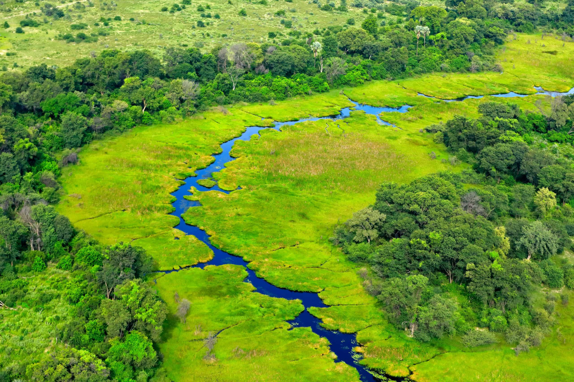 The most amazing wetlands in the world