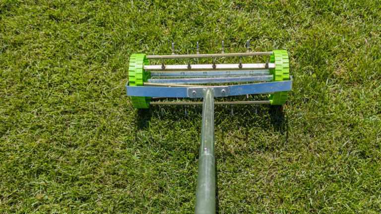 The Very Best Way To Overseed Your Lawn