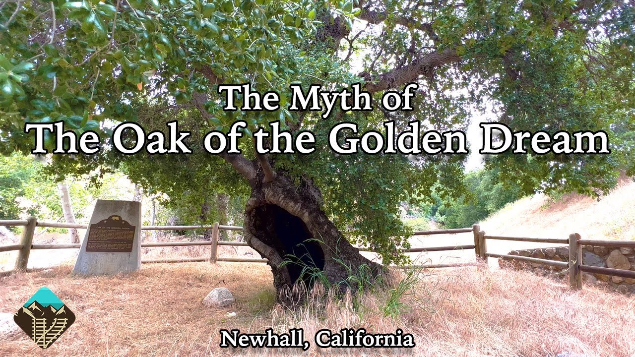 The Oak of the Golden Dream - Where California Gold Was Found First