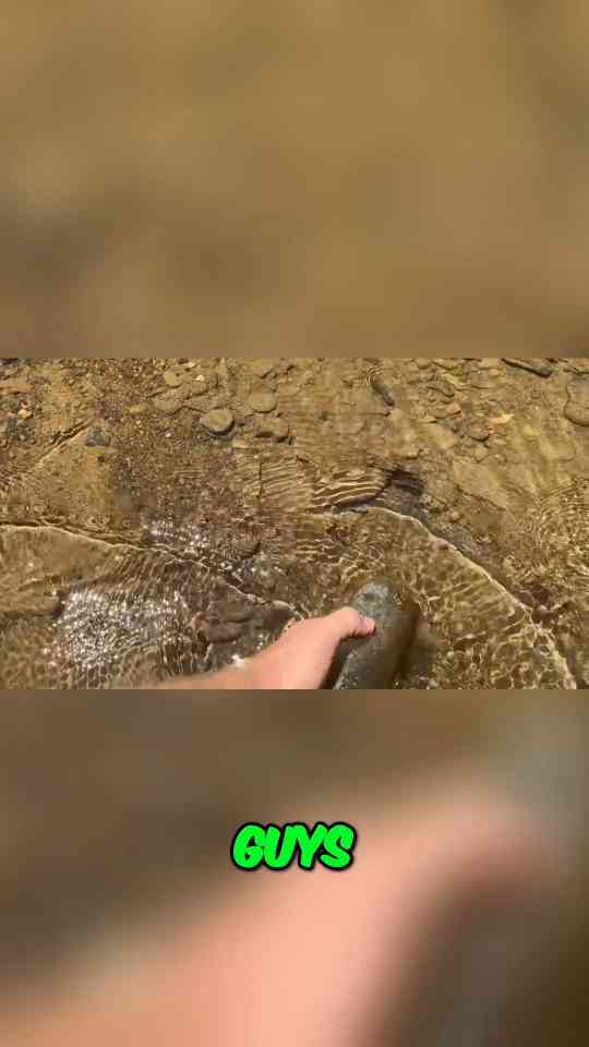 Found a RARE Bottle! - Creek Treasure Hunt