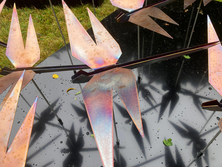 We've brought a beautiful floating sculpture to Washington Wetlands Centre