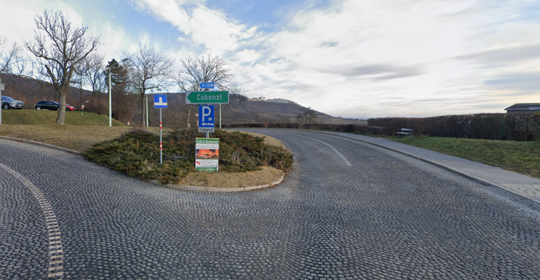 Horror am Cobenzl: Lenker bei Unfall komplett verbrannt