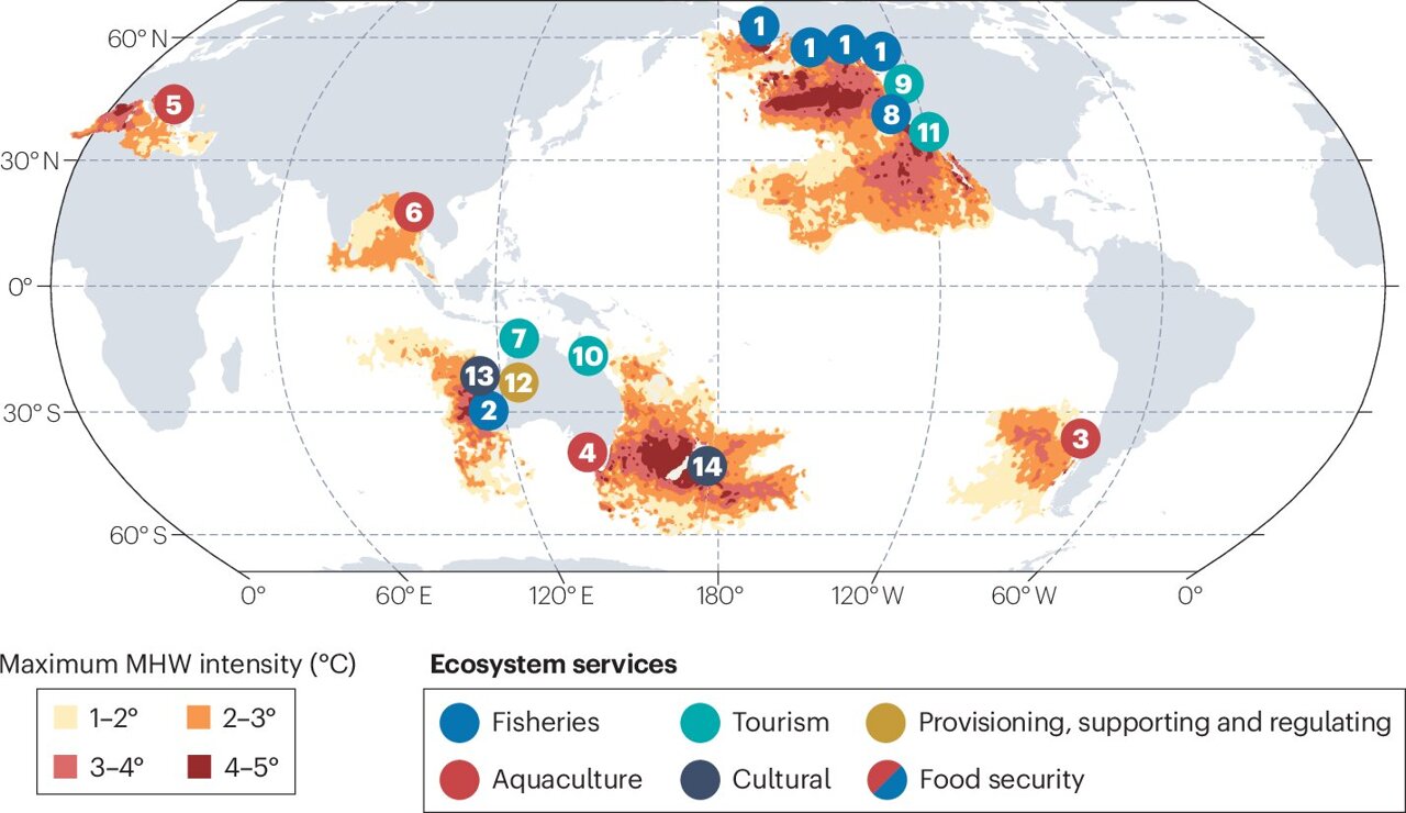 Climate change intensifies marine heat waves, threatening ocean ...