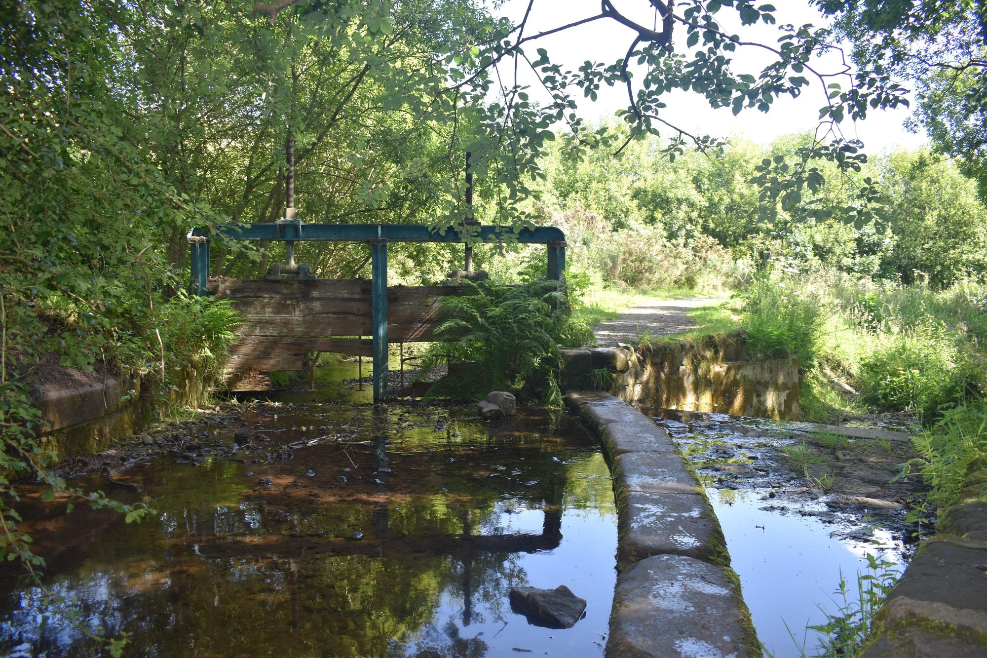 River Restoration Project enters new phase