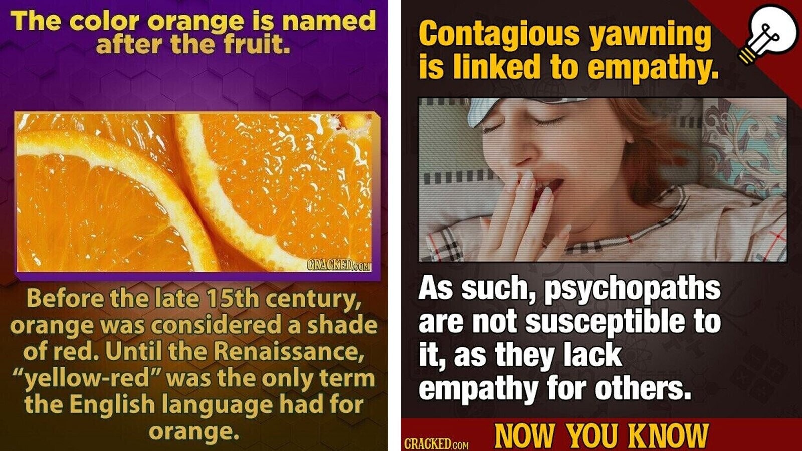 27 More Facts We Thought You Should Know