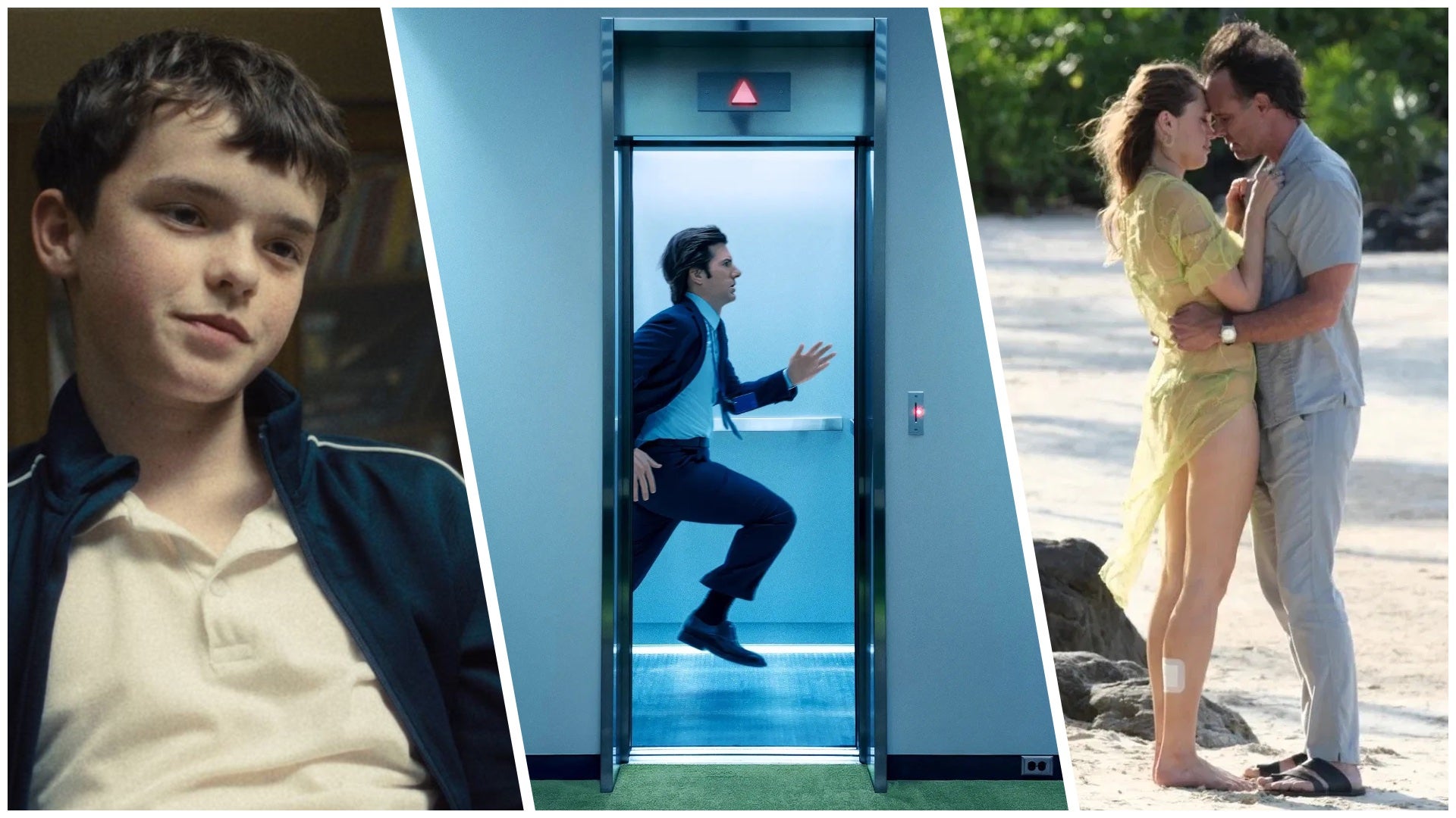 Which streaming service won the 2025 Emmy nominations?