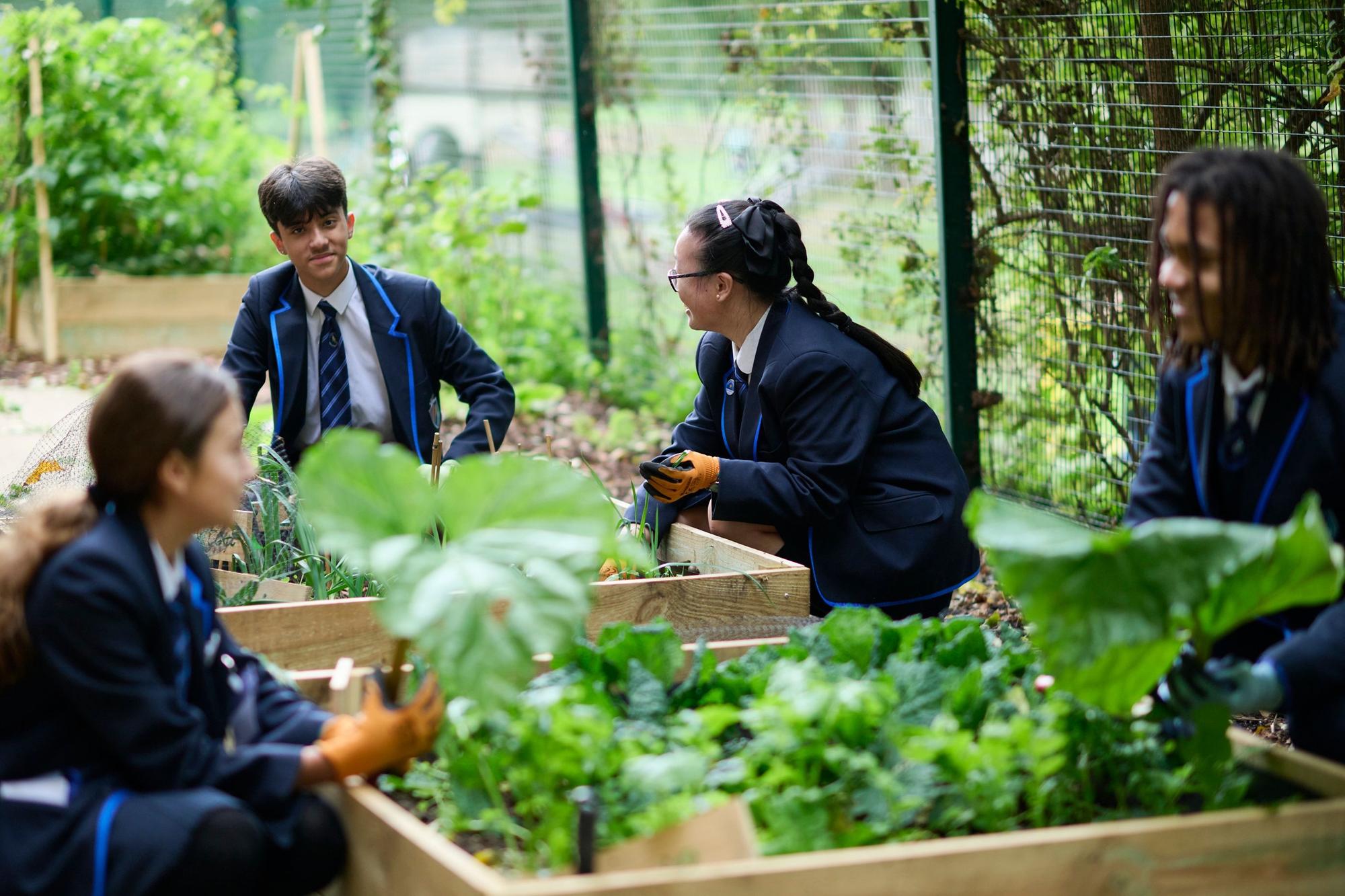 Ofsted monitoring inspection applauds The Lammas School’s progress