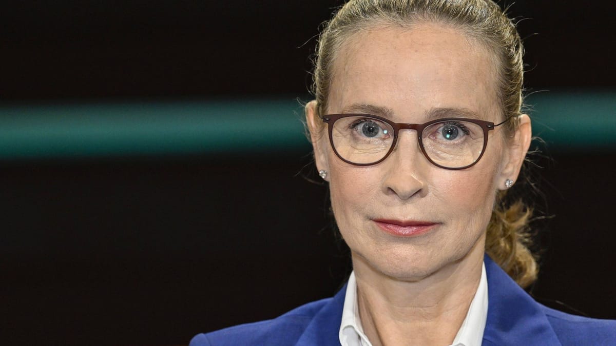 Brosius-Gersdorf: Wikipedia-Eintrag wurde gezielt geändert