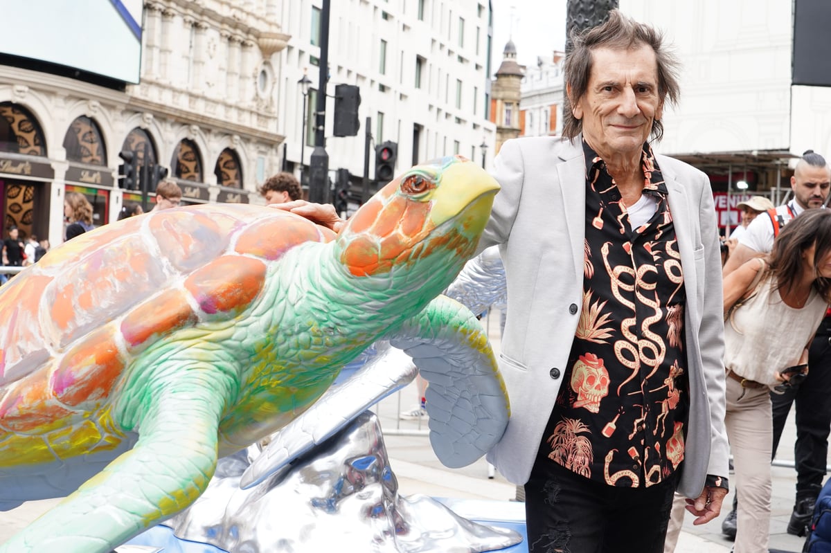 Ronnie Wood urges people to look after wildlife before there is ...