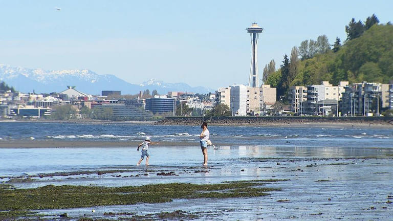 Heat wave peaks in Puget Sound region with temps in the 90s, heat advisory