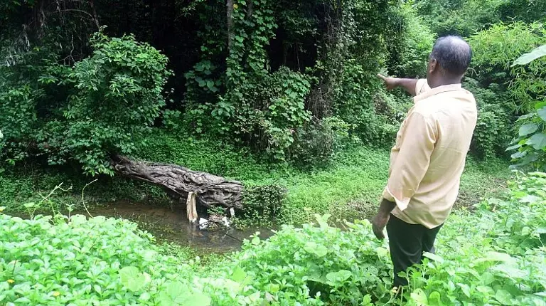 SIT secures sixth burial site in Dharmasthala mass grave probe ...