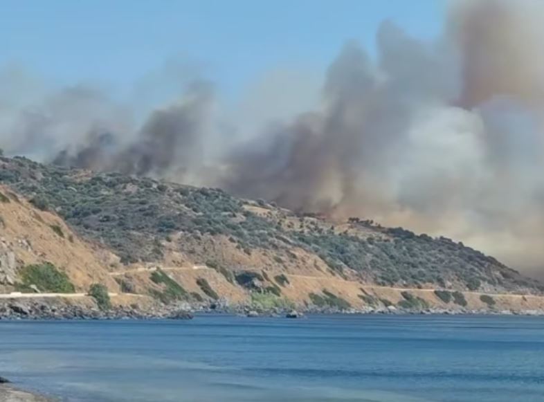 Καλύτερη η εικόνα της φωτιάς στη Λακωνία – Εκκενώθηκαν 2 οικισμοί