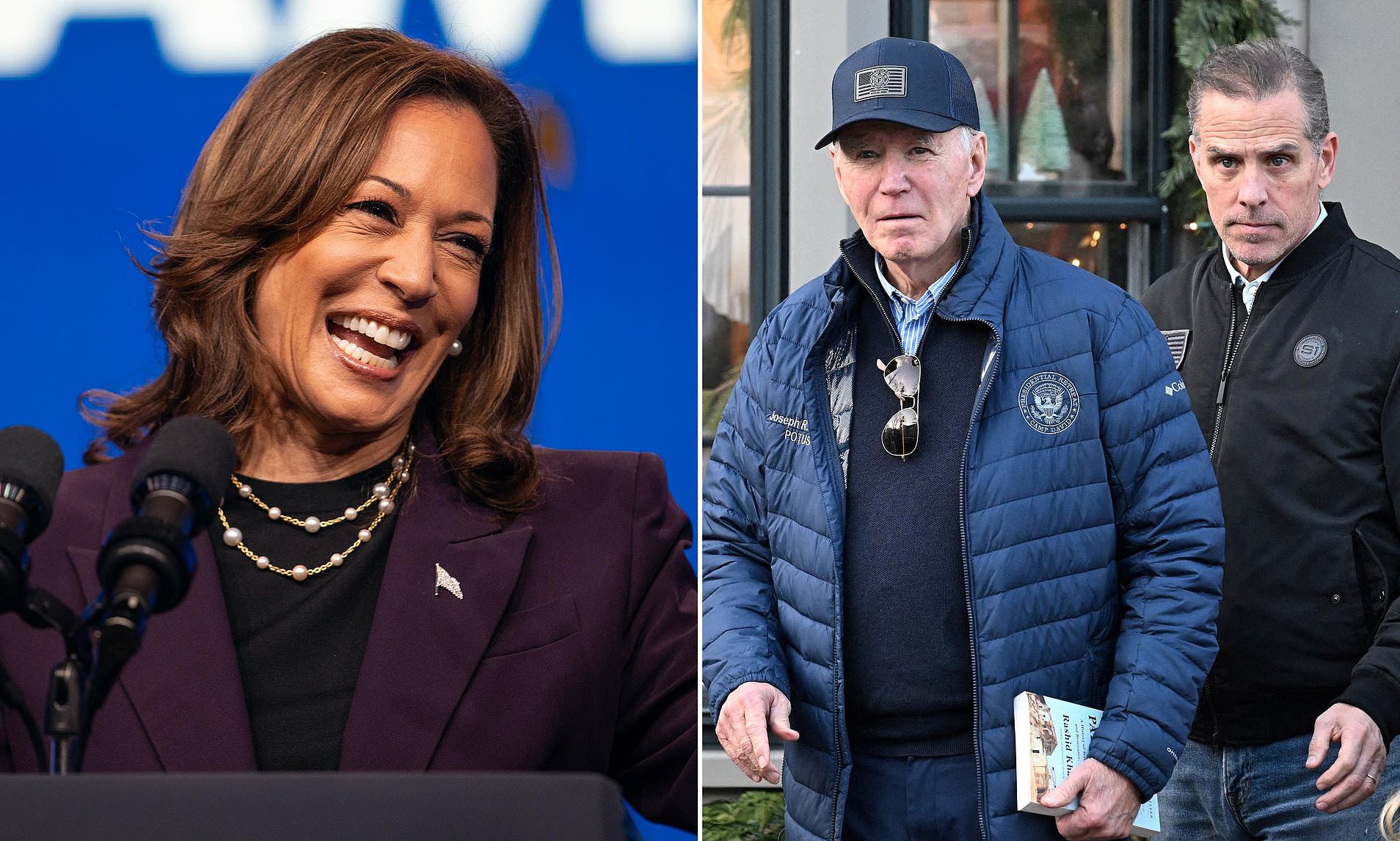 Hunter Biden takes strongest aim at Kamala Harris yet as inner circle ...