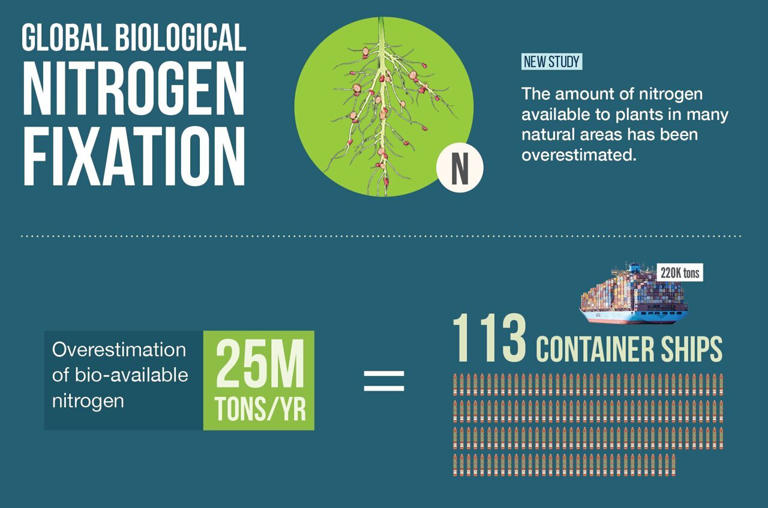 Nitrogen in forests and grasslands overestimated, new global analysis shows