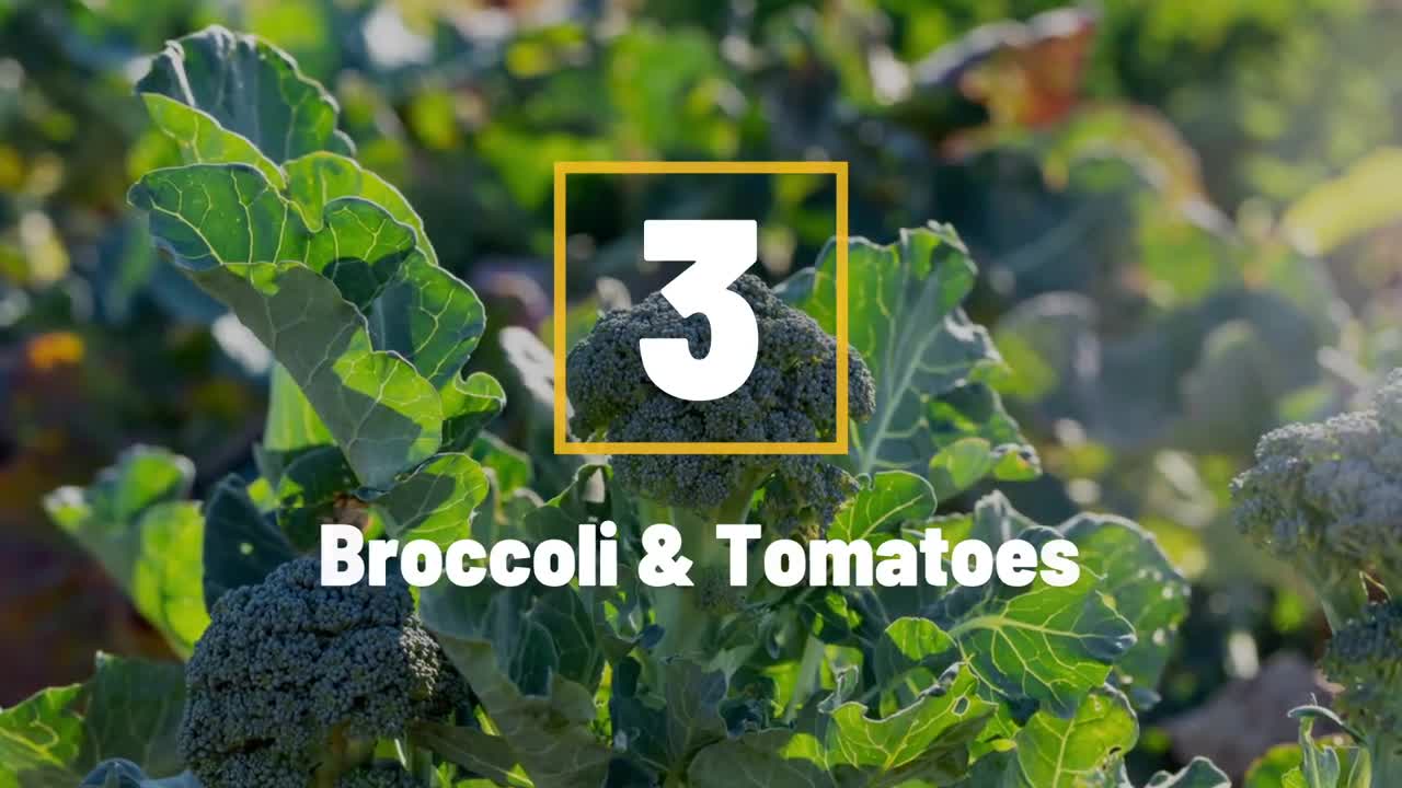 5 Vegetables You Must Grow Separately