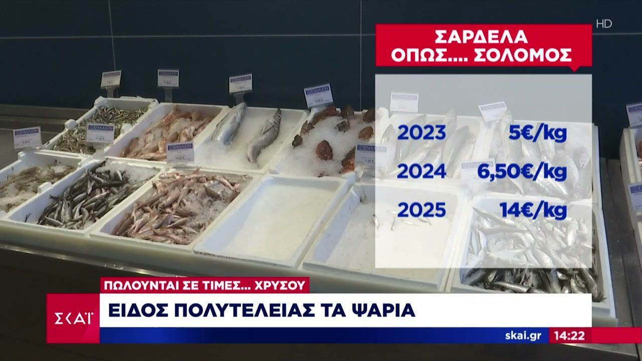 Είδος πολυτελείας τα ψάρια, με τις τιμές τους να είναι στα ύψη