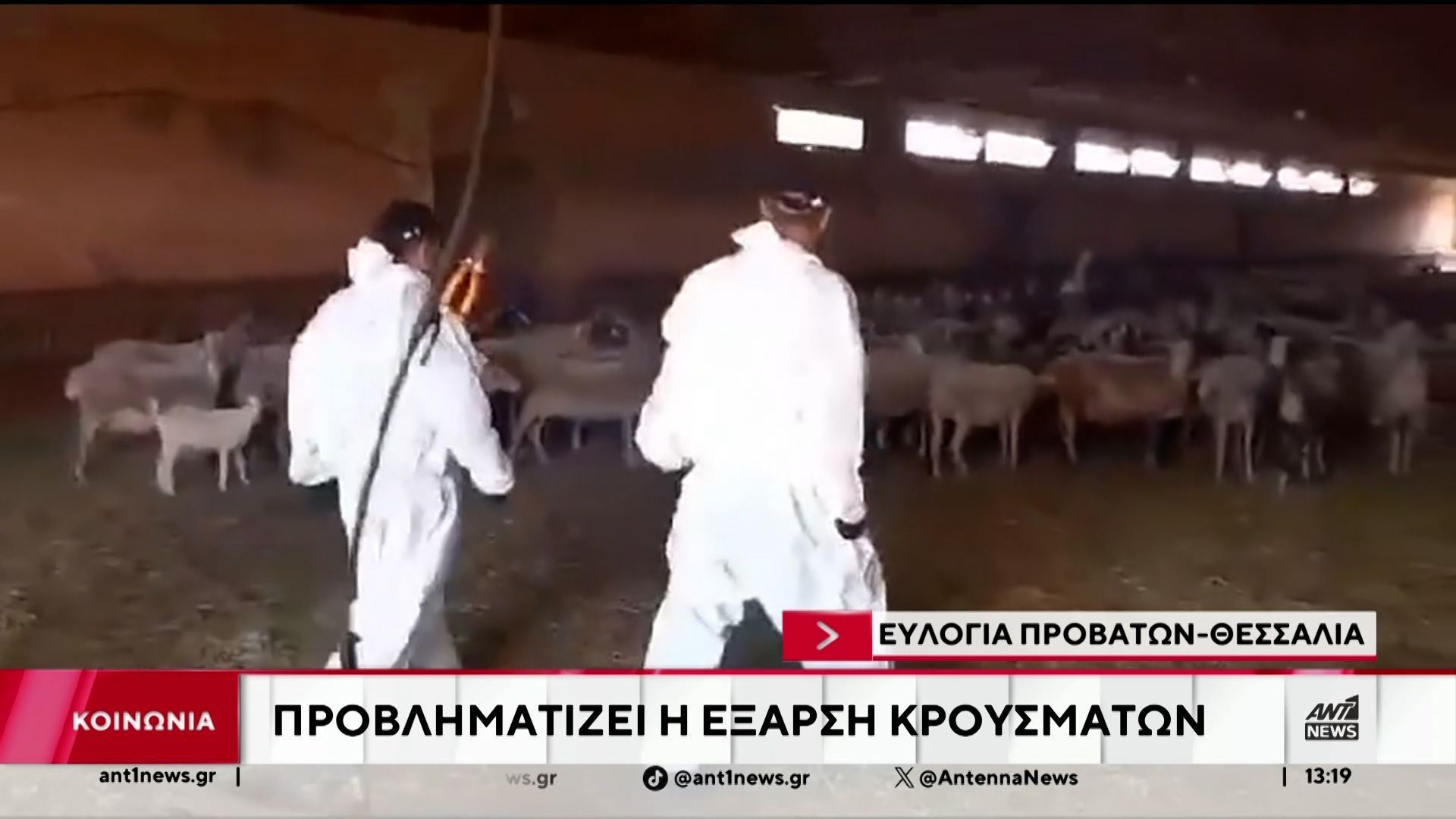 Ευλογιά Προβάτων: Φόβοι για τις πρόσφατες εστίες