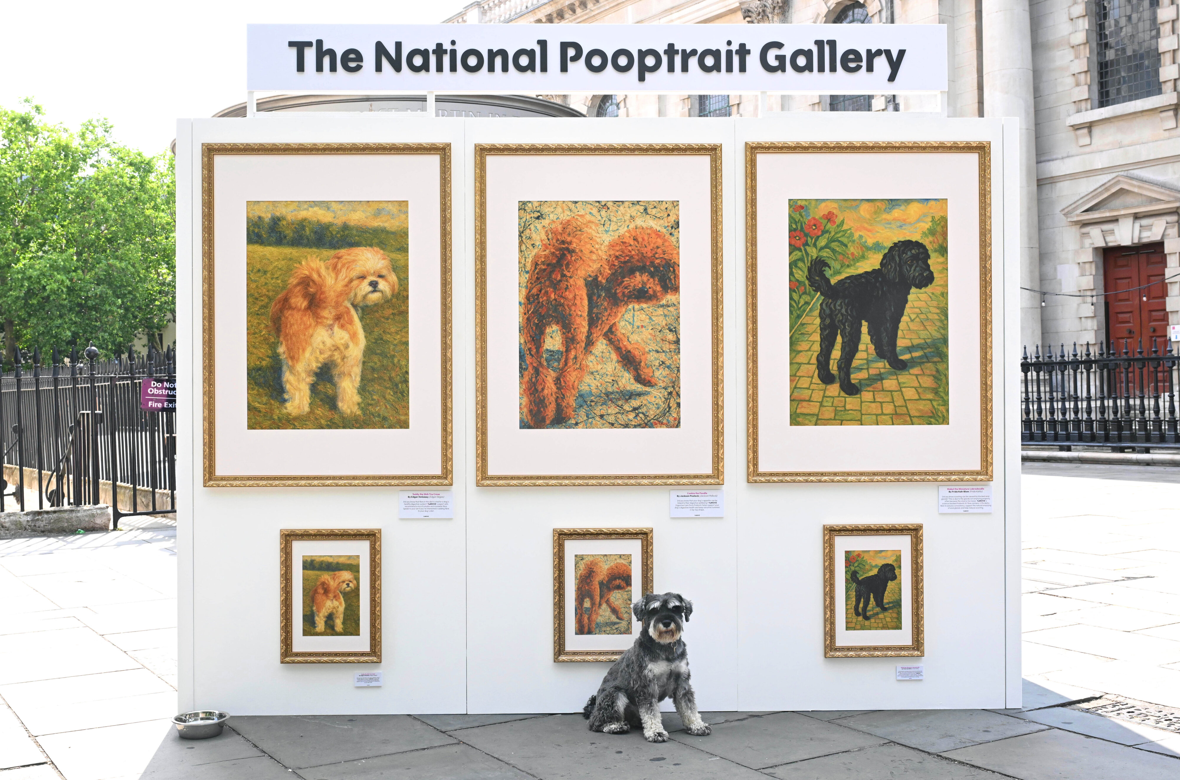 Is that a Poo-casso? Doggy-themed 'National Pooptrait Gallery' pops up ...