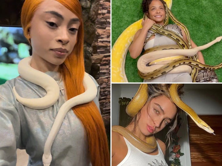 Slithering Stars With Snakes for World Snake Day!