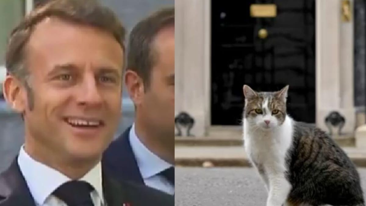 Macron and Starmer share light-hearted moment over Larry the cat at No 10