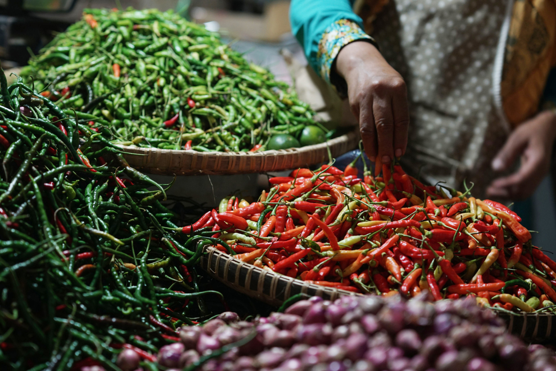 The most popular types of common vegetables