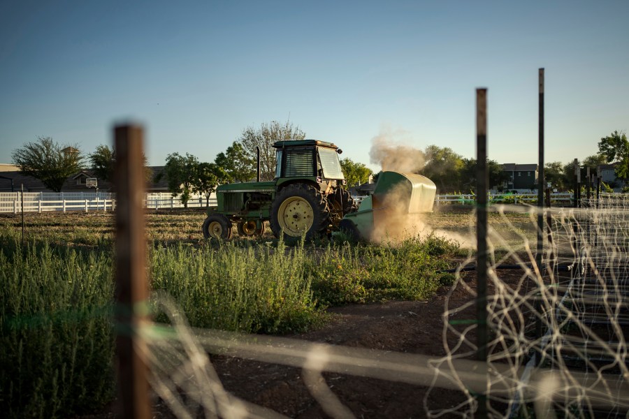 Bankruptcy filings soar as farmers face inflation, ICE raids