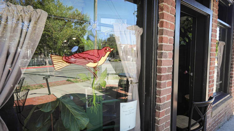 A new restaurant, bodega has opened in SLO neighborhood. See what's on ...