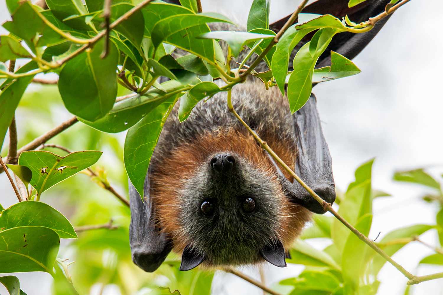 New Details Revealed About Father-of-Two Who Died After Catching Fatal ...