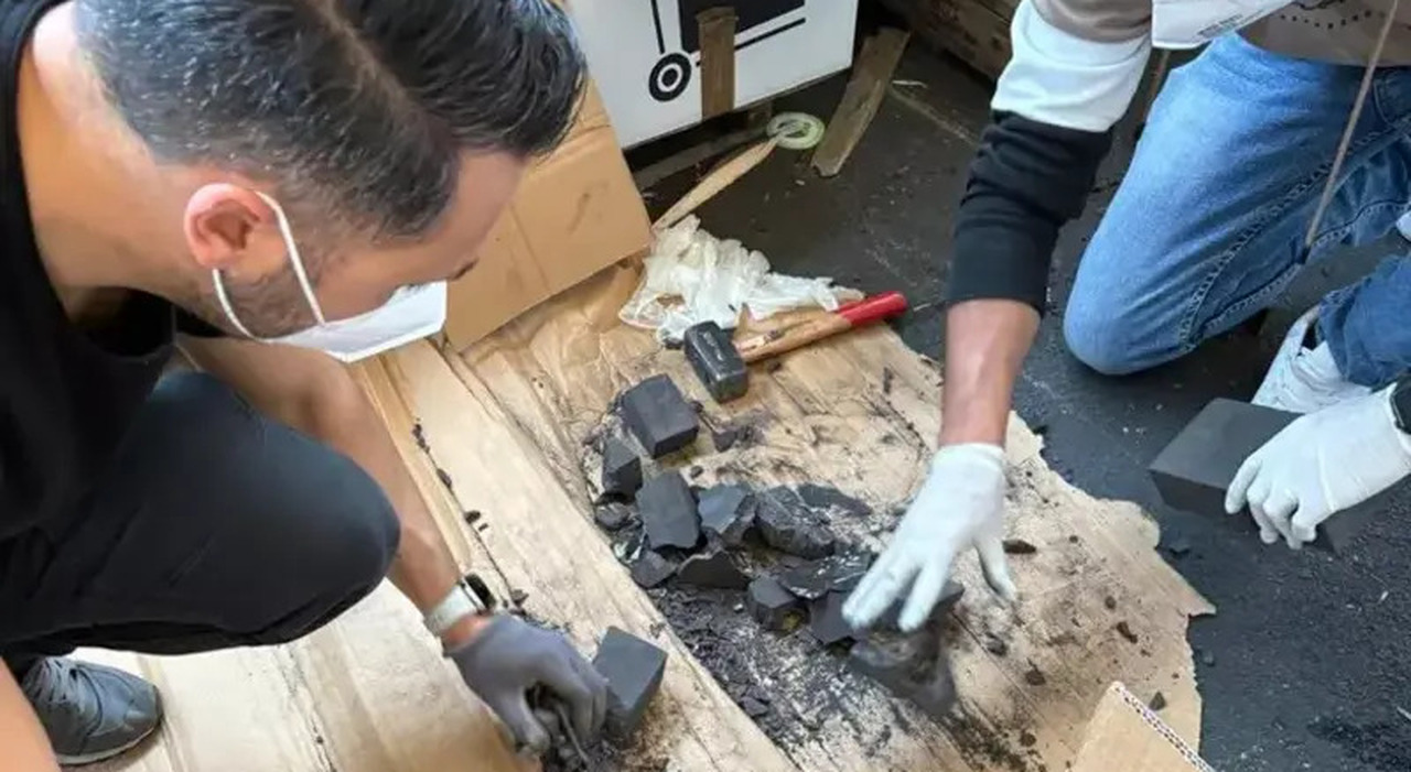 Sequestrati 30 chili di oppio in Porto, erano su un Tir proveniente ...