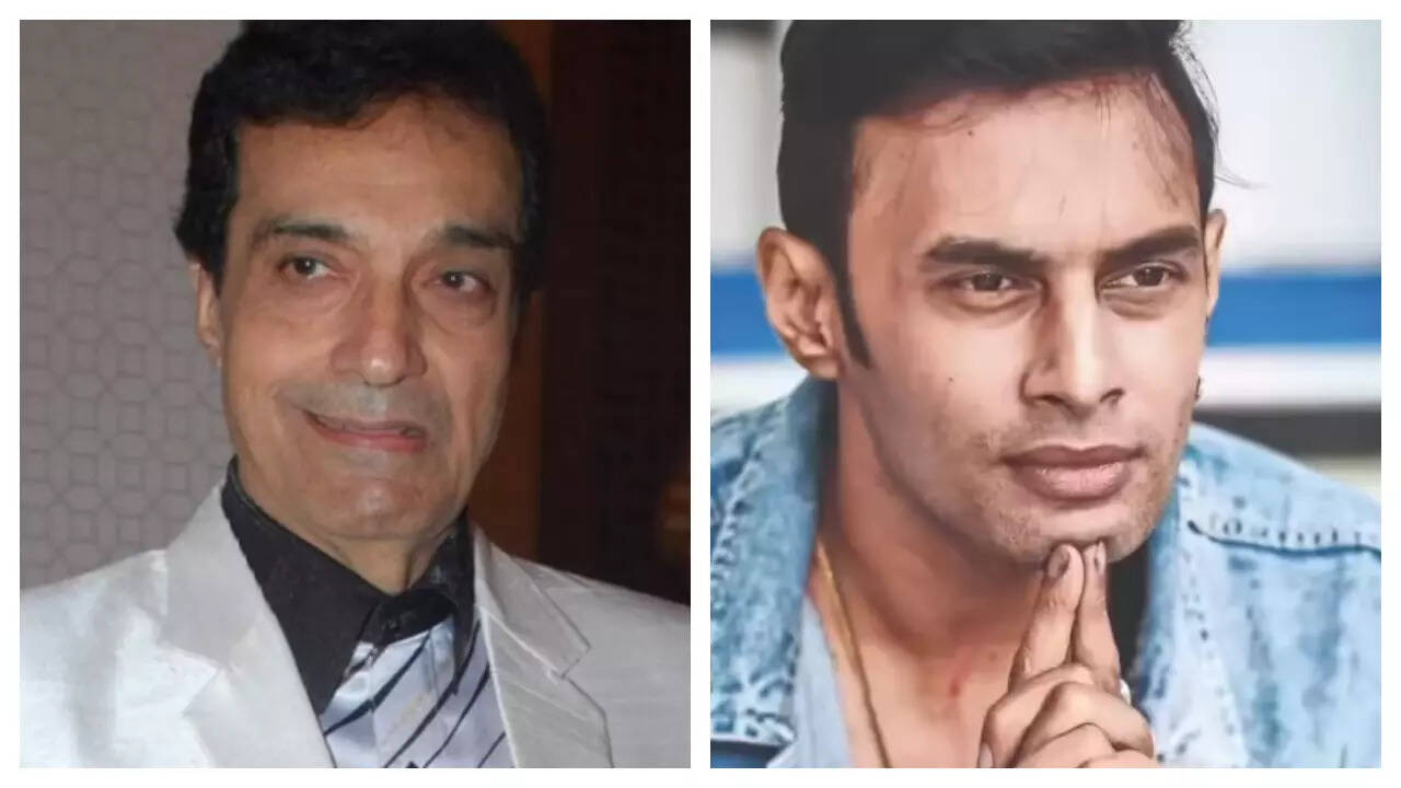 Exclusive - Dheeraj Kumar's 'Ganesh Leela' actor Rahul Raj Singh mourns ...