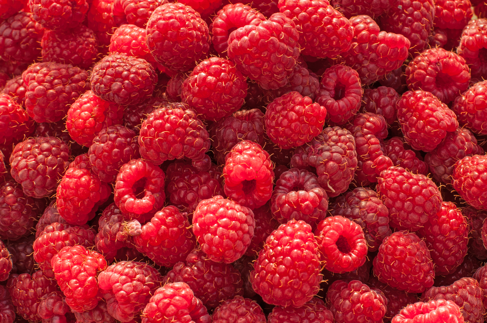 How raspberries can affect your body if you eat them every day