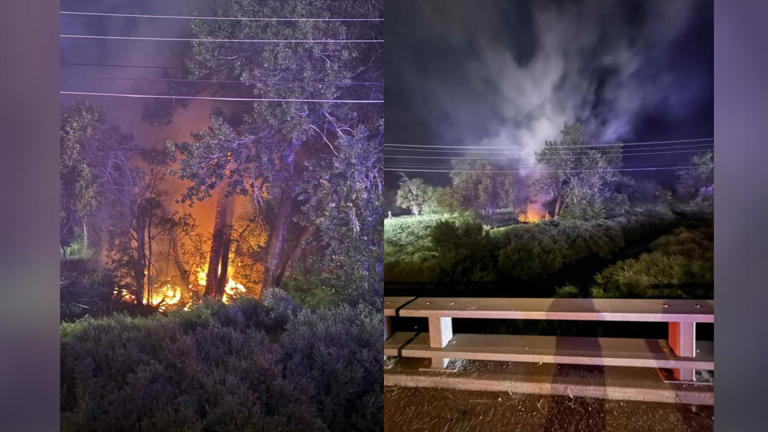 Liquid Death partners with Fruity Pebbles for ‘unhinged’ new flavored ...