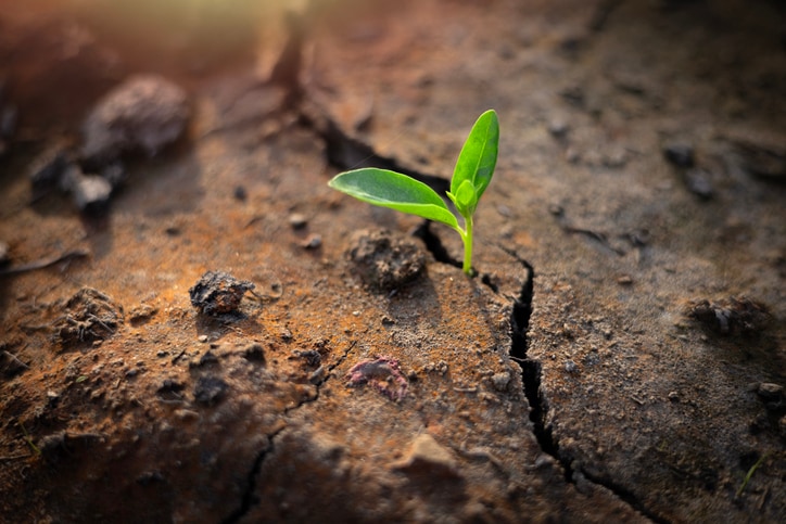 How Ancient African Communities Outsmarted Climate Change And Why That ...