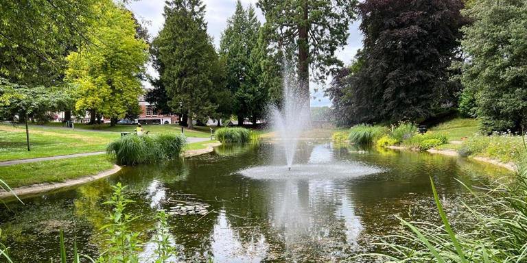 Six Dacorum parks receive coveted internationally-recognised Green Flag ...