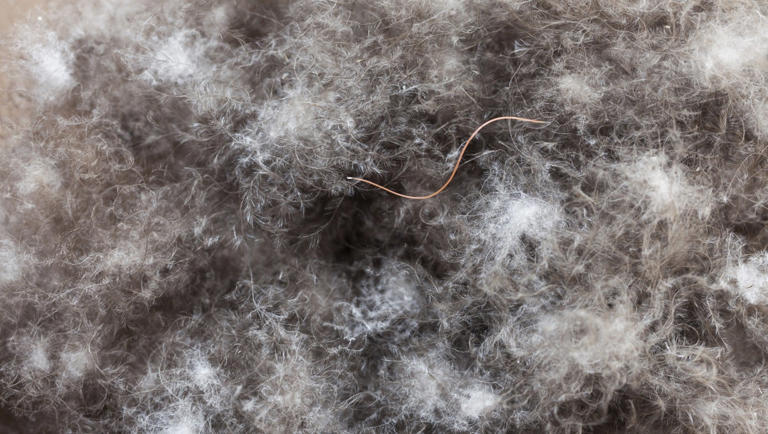 New guides aim to help apparel brands cut microfibre pollution