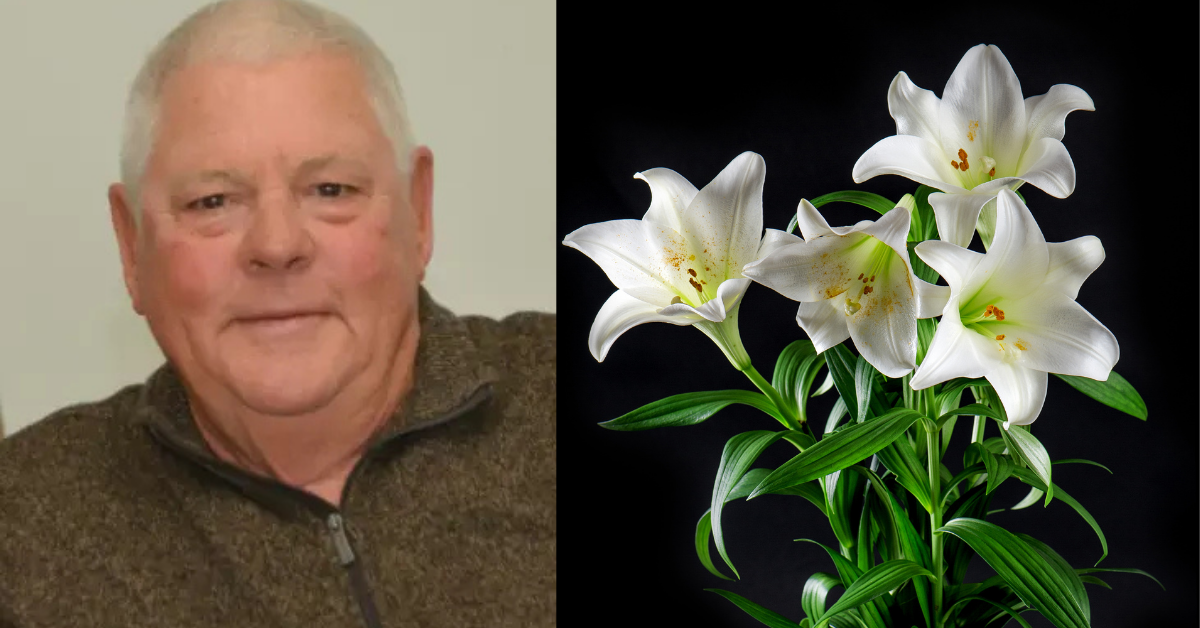 James Ouellette, 73, of Waterford – Obituary